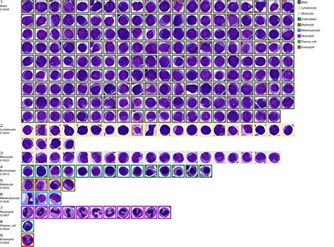Slide Vector Plot