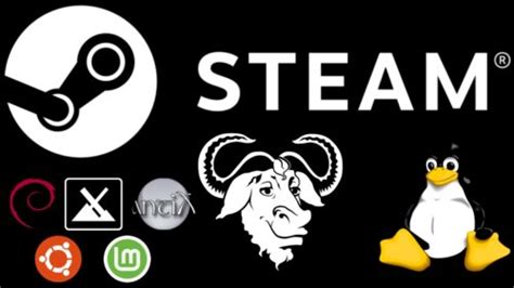 如何在 GNU Linux 上安装 Steam 关于 Debian 和 MX