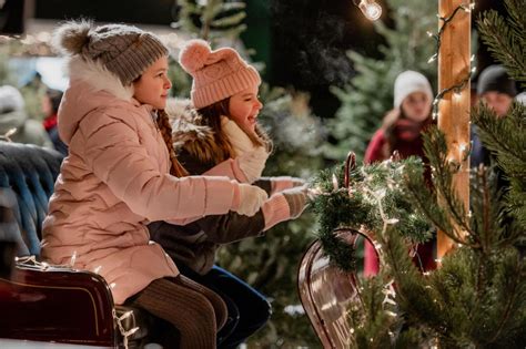 Сняг за Коледа • Филм • Tvprofil