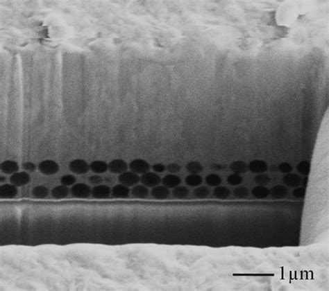 SEM Image Of A FIB Cross Section On The Edge Of PS Template After Download Scientific Diagram