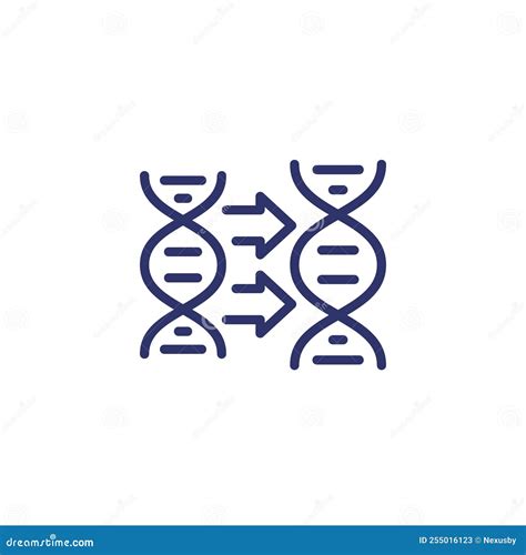 Dna Replication Icon On White Vector Illustration 255545290