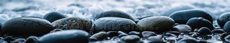 Assorted Balls Floating In Water Stock Illustration Illustration Of