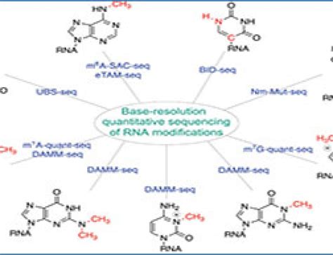 introduction to rna sequencing and analysis rna seq blog
