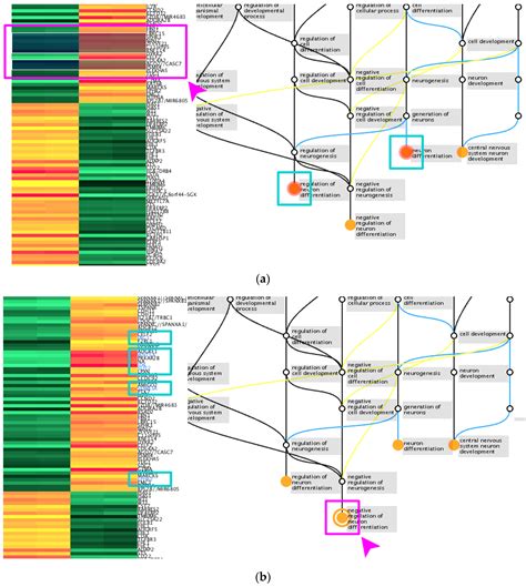 Visualize Gene Ontology