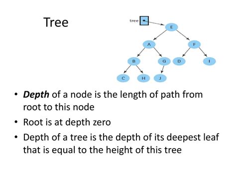 Trees Ppt Download