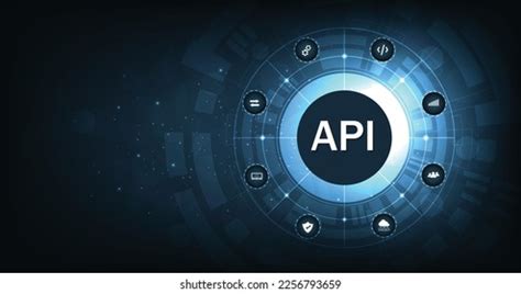 Application Programming Interface Api Design Software Stock Vector Royalty Free
