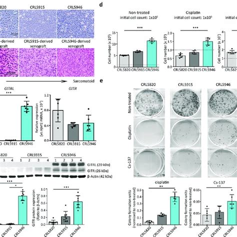microarray transcriptome analysis of gitr and gitrl signaling in