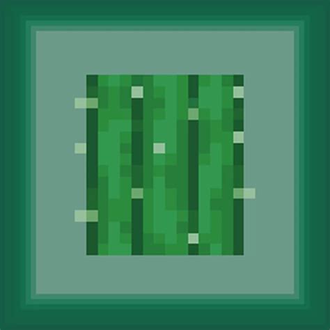Vibrant Cactus Java Edition Minecraft Texture Pack