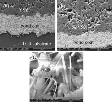 Cross Sectional Micrographs Of The Ysz Scysz Coatings And Silica Download Scientific Diagram