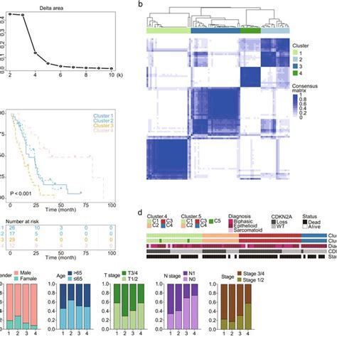 Consensus Clustering And Clinical Features Related To Mpm Alternative