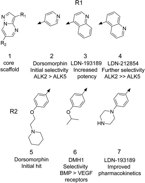 Structural Basis For The Potent And Selective Binding Of Ldn 212854 To The Bmp Receptor Kinase