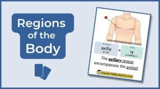 Trans Master Medical Terms