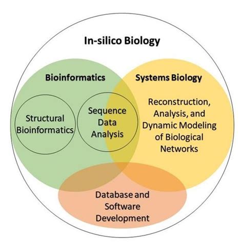 In Silico Biology And Its Sub Branches Download Scientific Diagram