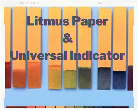 What Is Indicator Litmus Paper At Betty Dean Blog What Is Indicator Litmus Paper At Betty Dean Blog