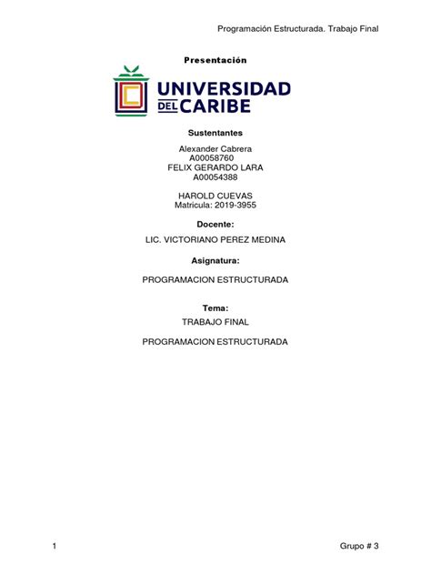 Trabajo Final Programacion Estructurada Pdf Lenguaje De Programación Programación De
