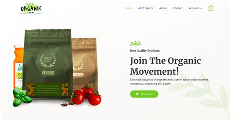 Best WooCommerce Themes To Dress Up Your Ecommerce Site