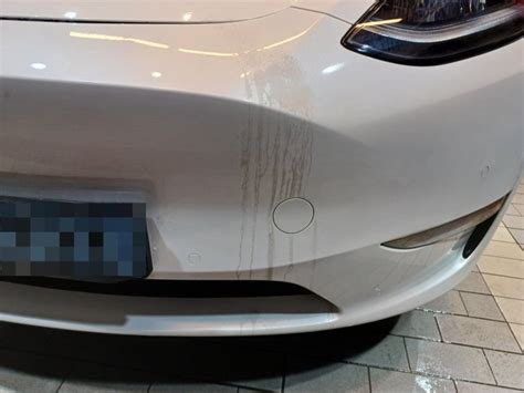 송파 잠실 강동 테슬라 모델 Y 프리미엄 광택 및 유리막 코팅 네이버 블로그