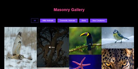 Github Gopika Bsfilterable Masonry Gallery Gallery With Masonry