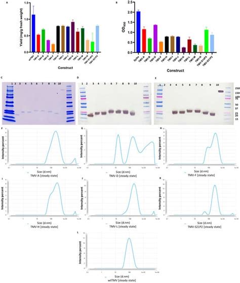 vaccines an open access journal from mdpi