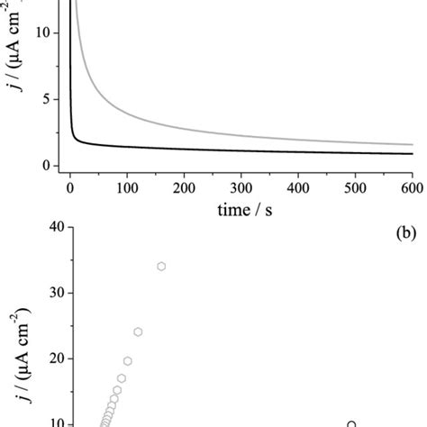 A Theoretical Black Line Using Cottrell Equation And Experimental