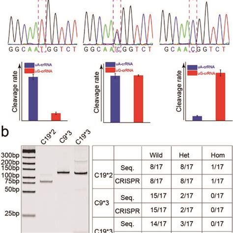 The Comparison Of Snp Genotyping Detected Through Pyrosequencing And Download Scientific