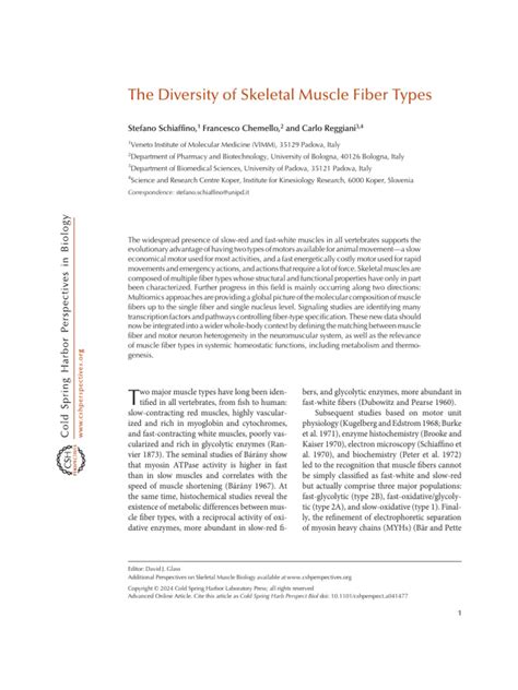 The Diversity Of Skeletal Muscle Fiber Types Schiaffino Et Al 2024