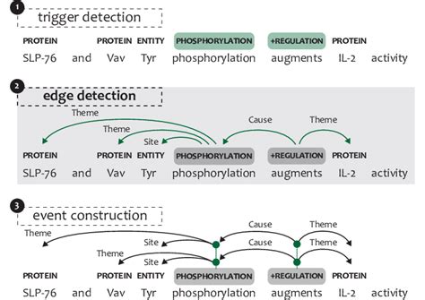 The Classification Stages In Ee For The Example Sentence Slp 76 And