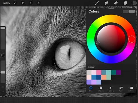 Procreate Color Wheel Stuck In Grayscale Heres What To Do Adventures With Art