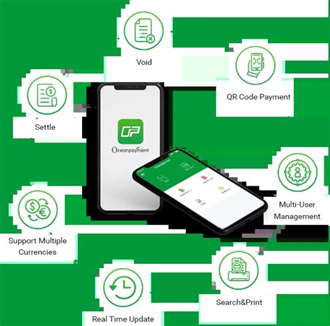 Upgrade Your Transactions With Nowpayments And Oceanpayment Efficiency