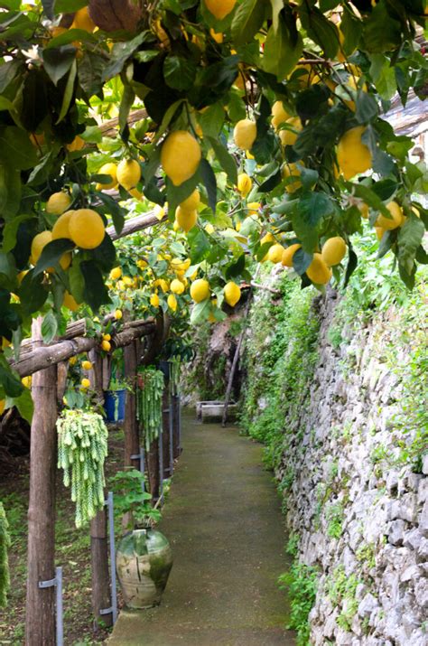 15 Best Things To Do On The Amalfi Coast Italy Amalfeet Step Into