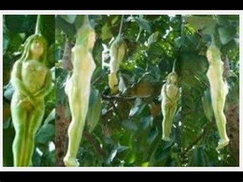 Ways To Have Sex On Your Period Pressure News