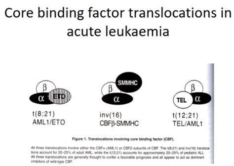 Flashcards Aml With Cytogenetic Abnormalities Quizlet