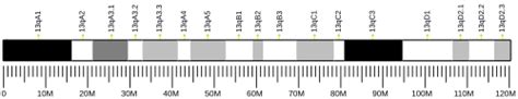 Hfe Gene Wikipedia