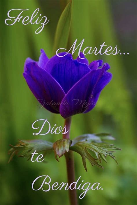 Pin By Ana Paula On Buenos Días Good Day Messages Good Morning Good