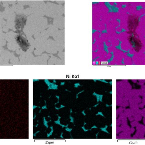 Eds Map Scanning Of Nbc 10ni Cermets Sintered At 1 450°c Download
