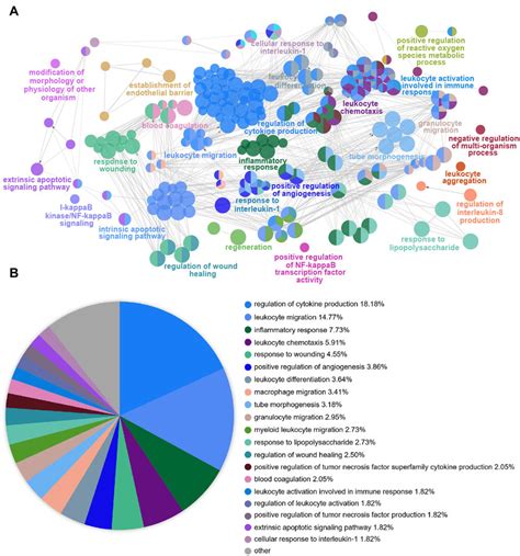 Functional Enrichment Analysis Of Degs Using Cluego A Cluego Was