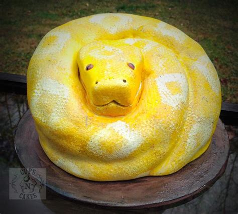 Python Cake Decorated Cake By Cups N Cakes Cakesdecor