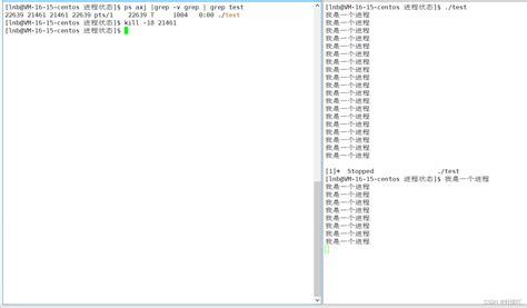 linux进程概念（二） csdn博客