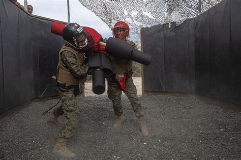 Mastering Marine Corps Martial Arts A Comprehensive Guide