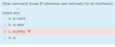 solved what command shows ip addresses and netmasks for all