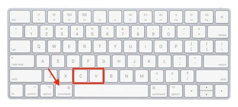 how to copy and paste on a mac macrumors