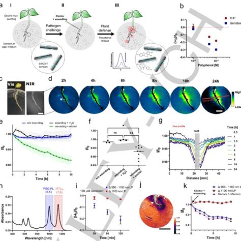 Nir Fluorescent Nanosensors For Plant Polyphenols A Plant Polyphenols Download Scientific