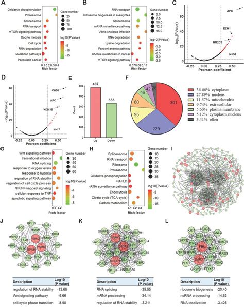 Proteomics Analysis Of Ythdc2 Knockdown Cells Bubble Chart Showing The Download Scientific