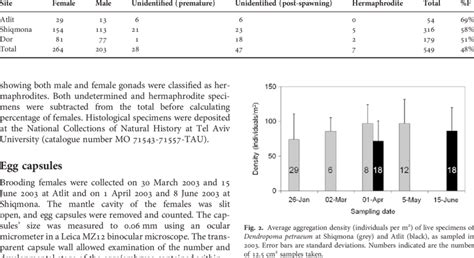 The Number Of Histologically Treated Specimens Divided According To Download Table