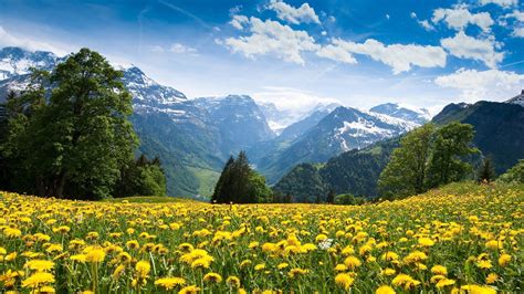 Landscape Spring Wallpapers Wallpaper Cave
