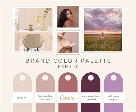 Beauty Brand Color Palette Hex Codes Branding Board Color Scheme