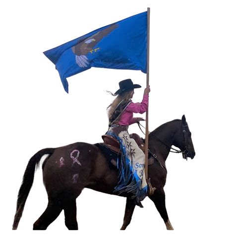Heavy Duty Windsocks Australia Free Shipping Custom Printing