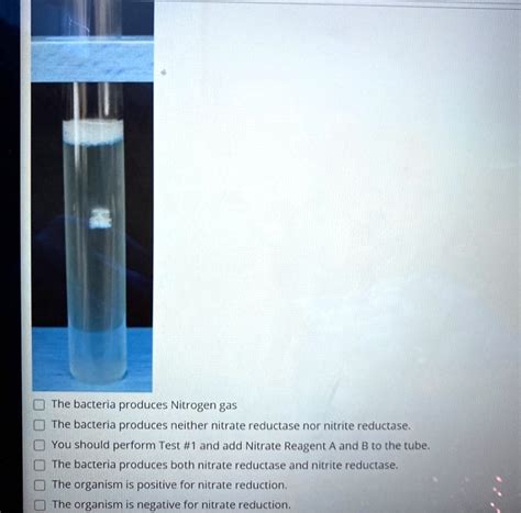 Solved The Bacteria Produces Nitrogen Gas The Bacteria Produces
