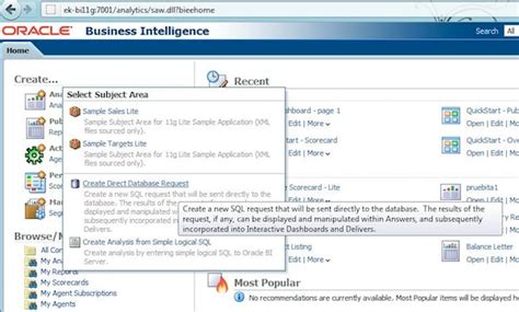 Article Migrating Oracle Discoverer Data To Oracle Business Intelligence 11g