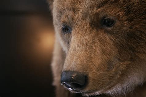 A Case That Went Back To The Elysée Palace Daily Weby